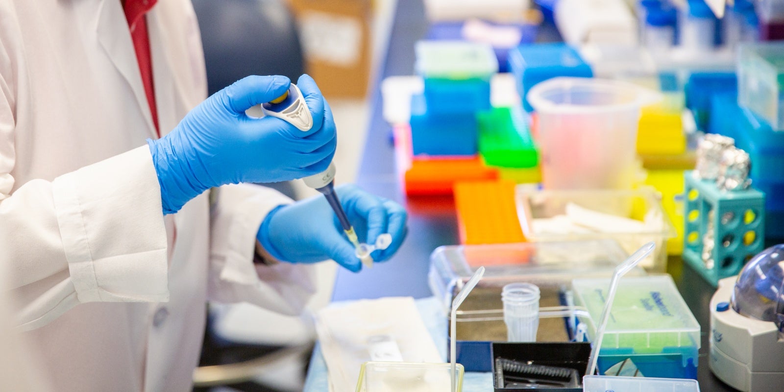 Postdoctoral Development | Biomedical Graduate Education | Georgetown ...