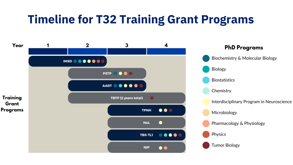 T32 Training Grants | Biomedical Graduate Education | Georgetown University